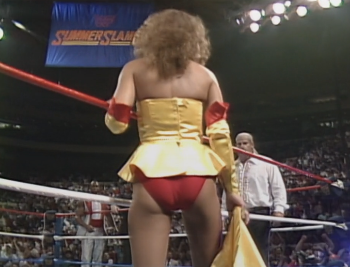 WWF Summerslam 1988 – Where the Mega Powers Meet the Mega Bucks (8.29.88) review - Arn's ...